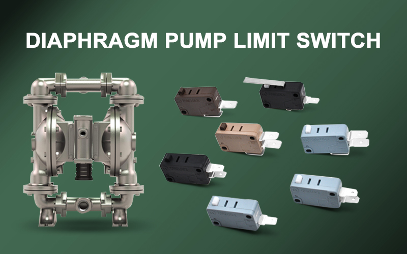 Diaphragm pump L series limit switch