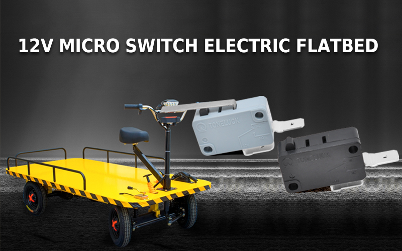 E Series Micro Switch 12volt Electric Flatbed