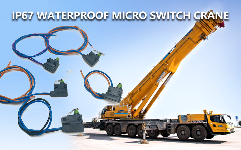 IP67 Waterproof Micro Switch crane