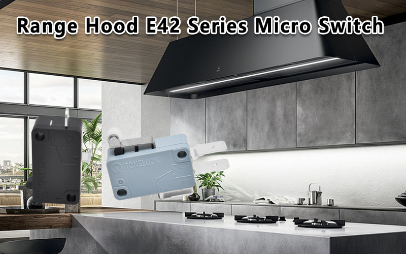 Range Hood E42 Series Micro Switch